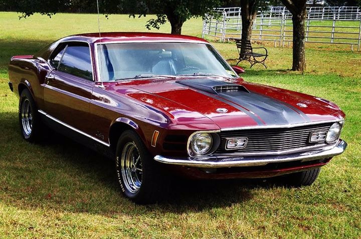 Used 1970 Ford Mustang -M-CODE- MACH 1- WITH MARTI REPORT- For Sale ...
